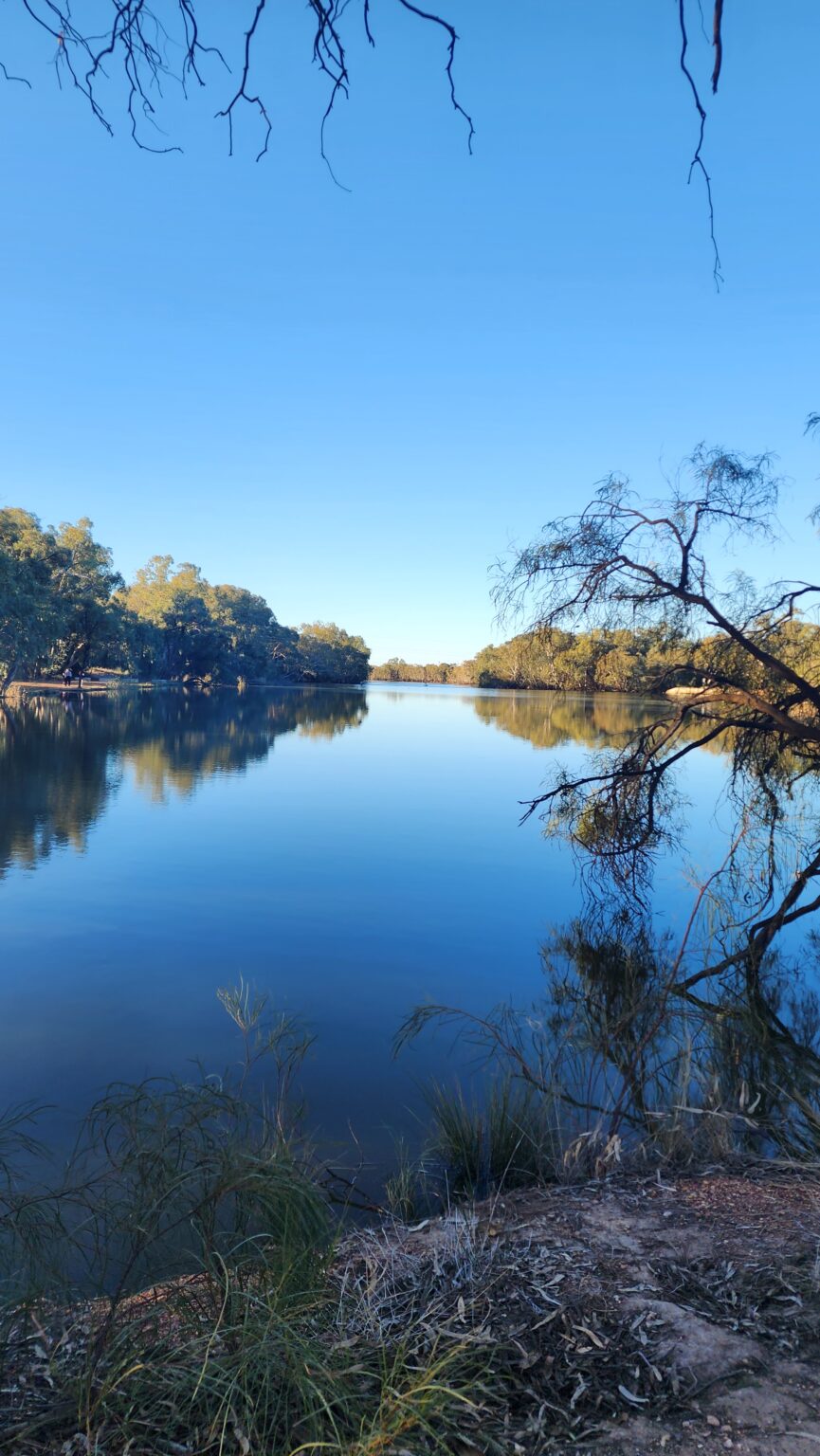 Wangaaypuwan Ngurrampaa – Nyngan Timeline from 1835 – 1998