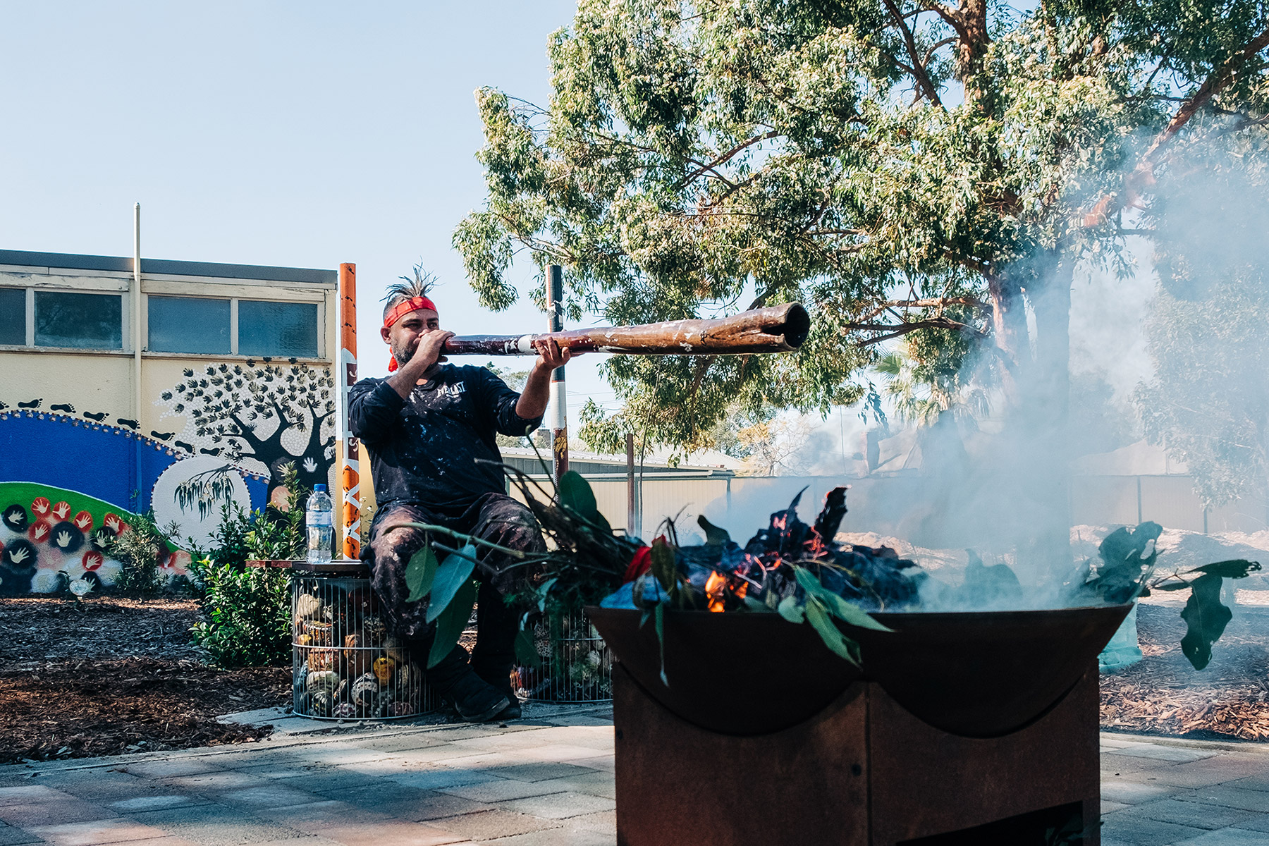 Bush Tucker Garden