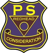 Redhead Public School